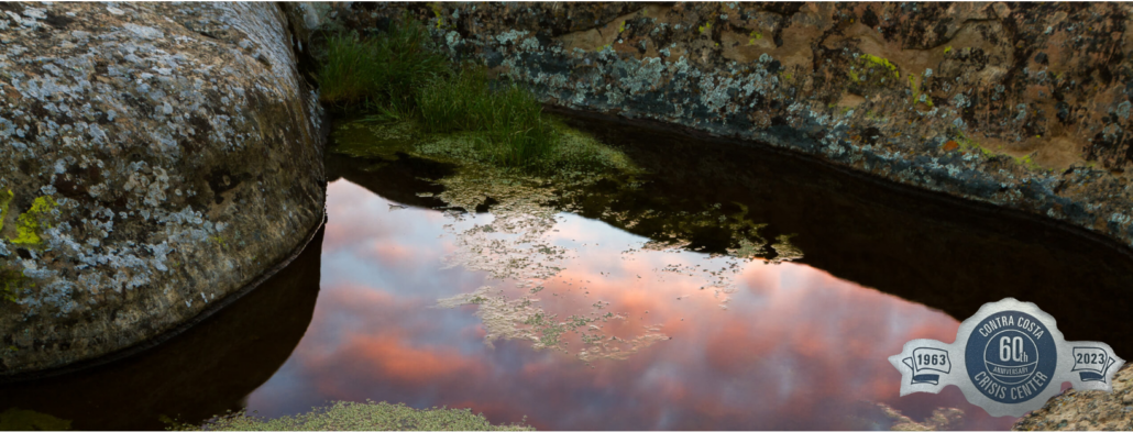 Home - Contra Costa Crisis Center